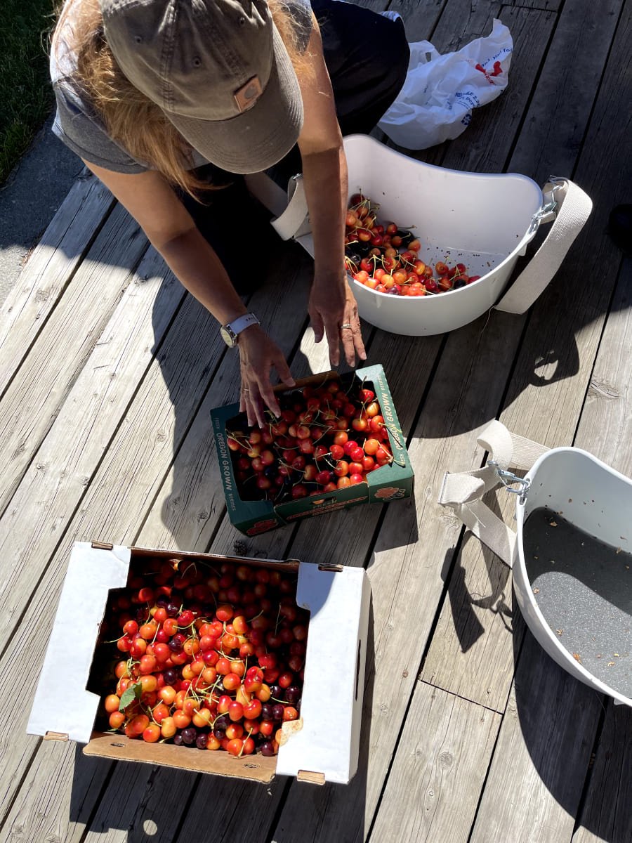 10 lbs Box ofMixed Cherries – Cascabel
